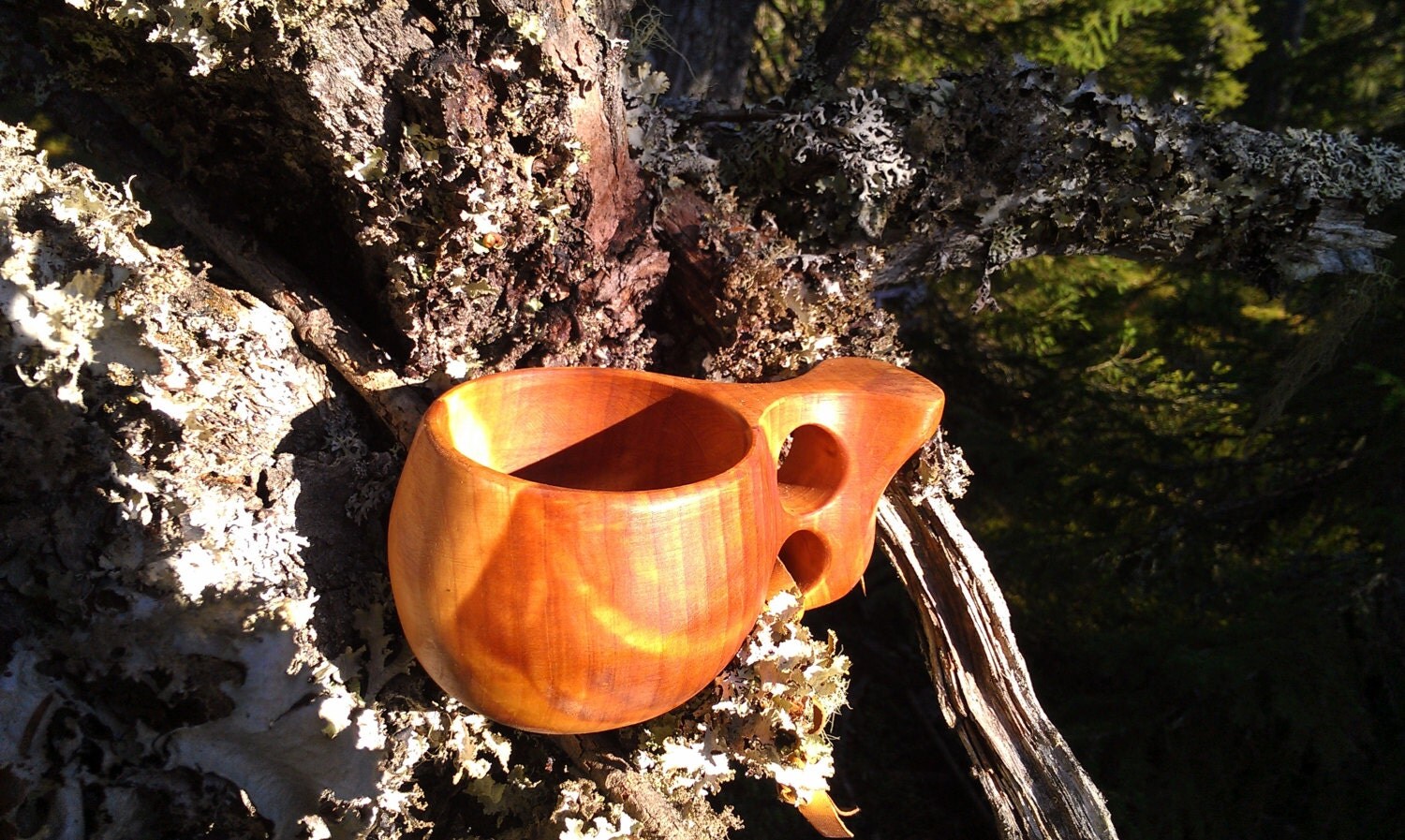 Kuksa 2 wooden cup from Lapland