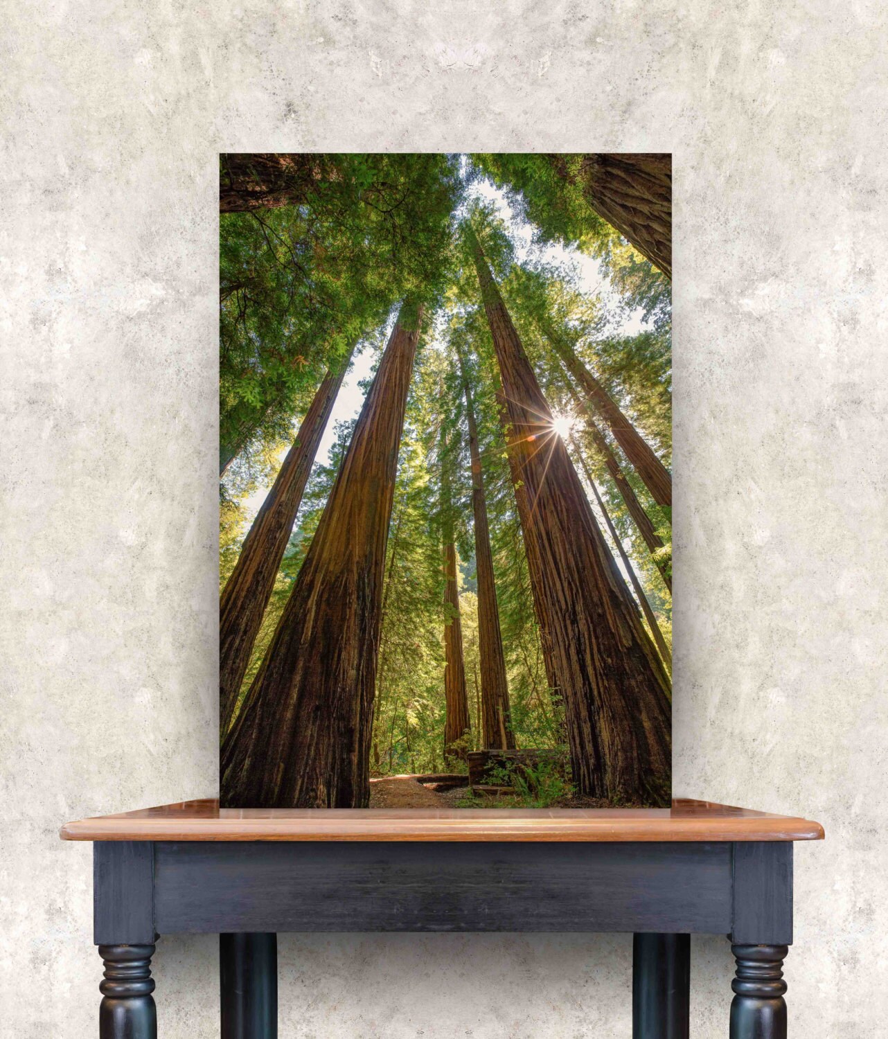 California Redwood Print Large Coastal Tree by SusanTaylorPhoto