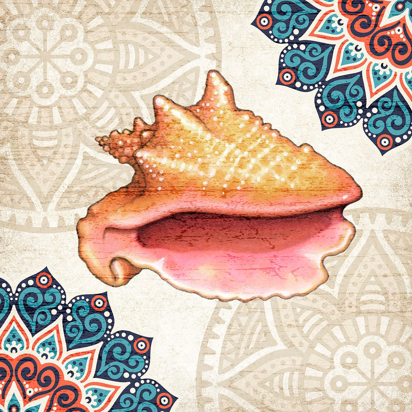 Conch Shell Coastal Square Art Print Beach Decor by Dan