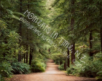 Forest backdrop | Etsy