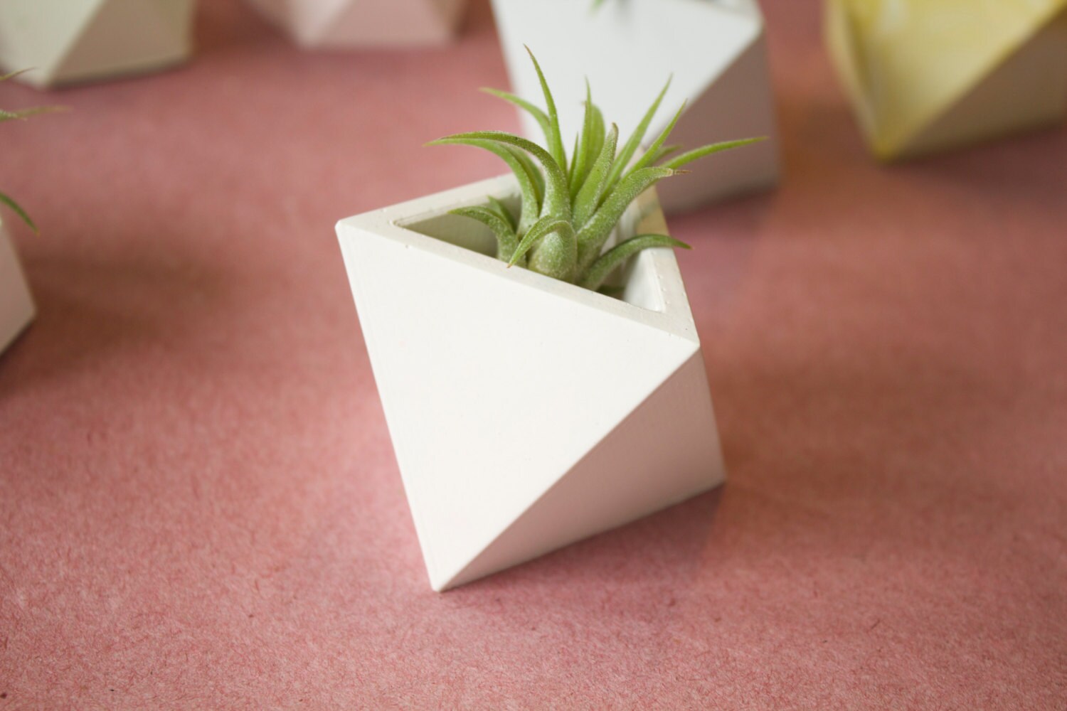 Triangle Geometric Planter with Airplant