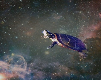 Cosmic turtle | Etsy