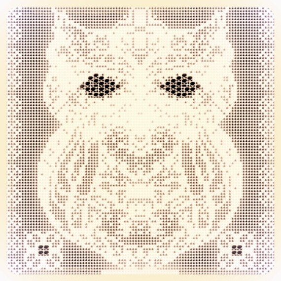 Sacred Owl Filet Crochet pattern pdf