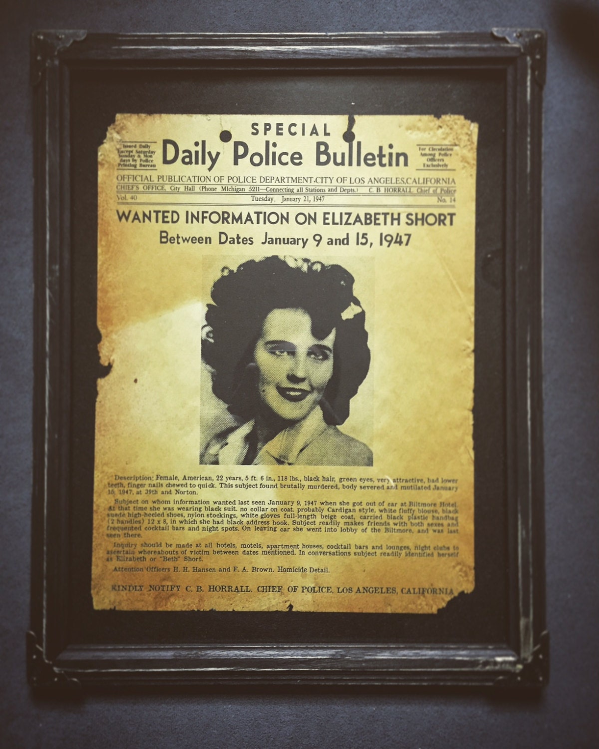 Daily Police Bulletin on Elizabeth Short The Black