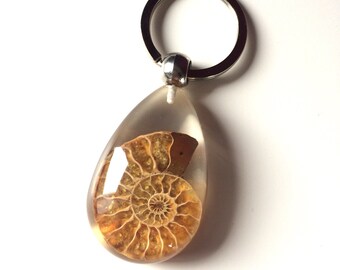 Fossil keychain | Etsy