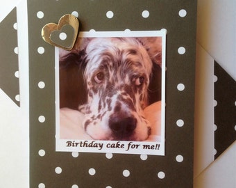 English setter | Etsy