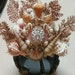 High Quality Seashell Queen Crown Mermaid Crown by ConchQueens