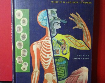 Human body book | Etsy