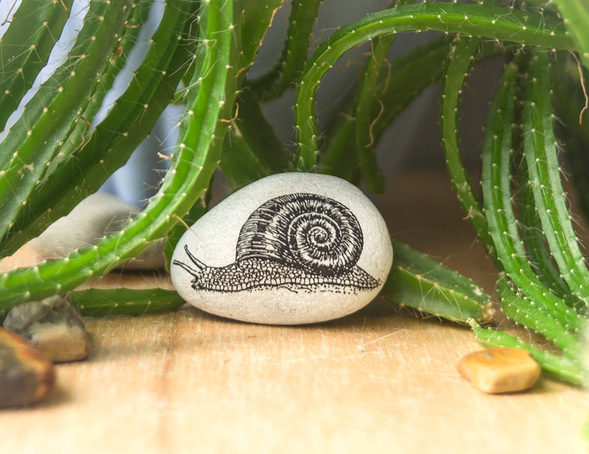 Snail Snail Art Stone Decor Snail Gift Wedding Gifts