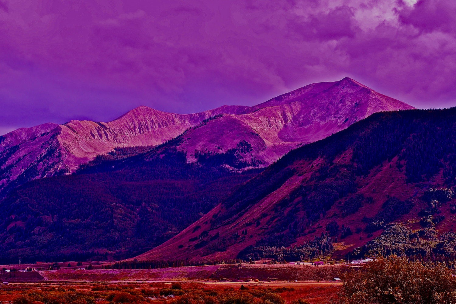 Purple Mountain Majesty