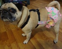 Unique belly band for dogs related items | Etsy