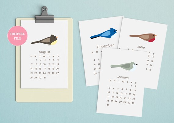 Items similar to 2016 Wall Calendar - Birds of a Feather 2016 Calendar ...
