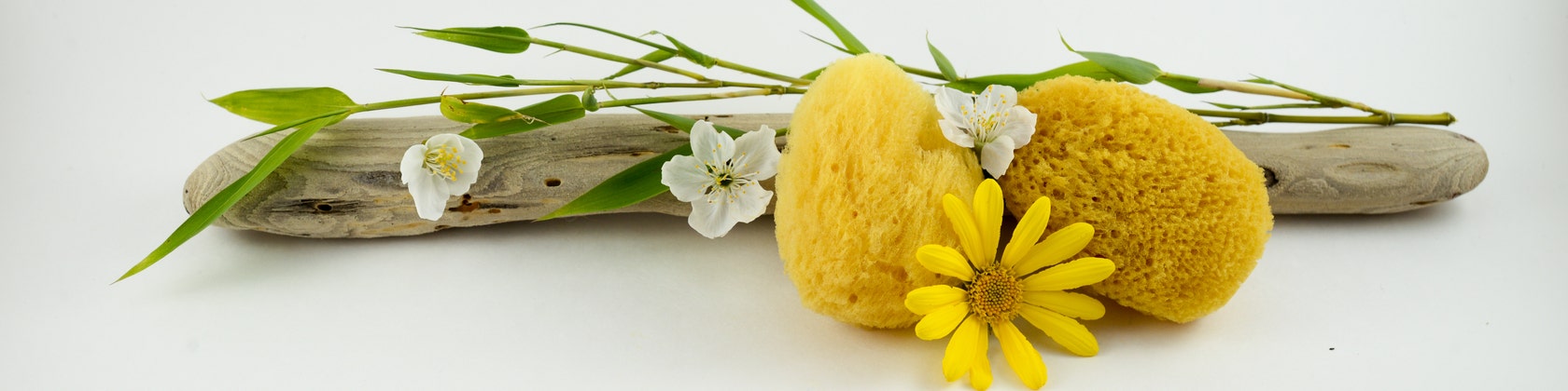 Holy Sponge's Etsy Storefront by HolySponge on Etsy