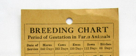 Breeding Chart Gestation In Farm Animals Paper Ephemera