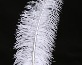 Craft feathers | Etsy