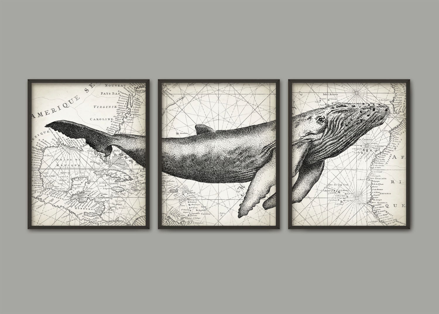 Humpback Whale Wall Art Poster Set Of 3 Whale Art Print