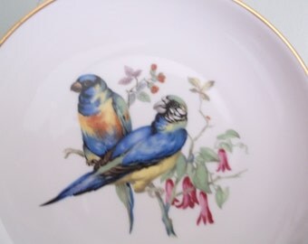 Porcelain parrot | Etsy