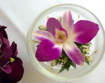 Unique preserved orchids related items | Etsy