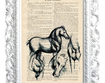 Book about horses | Etsy