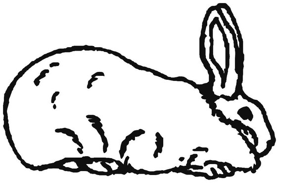 Flemish Giant Rabbit Vinyl Decal by GypsyHeartToBlame on Etsy