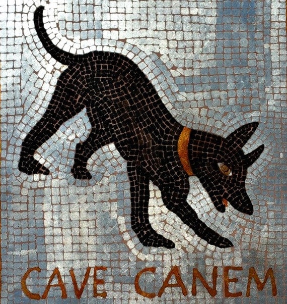 Items similar to Cave Canem on Etsy