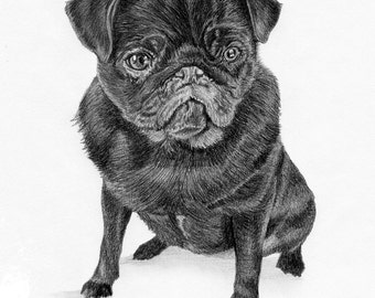Black pug art | Etsy