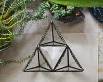 Unique succulent tabletop related items | Etsy