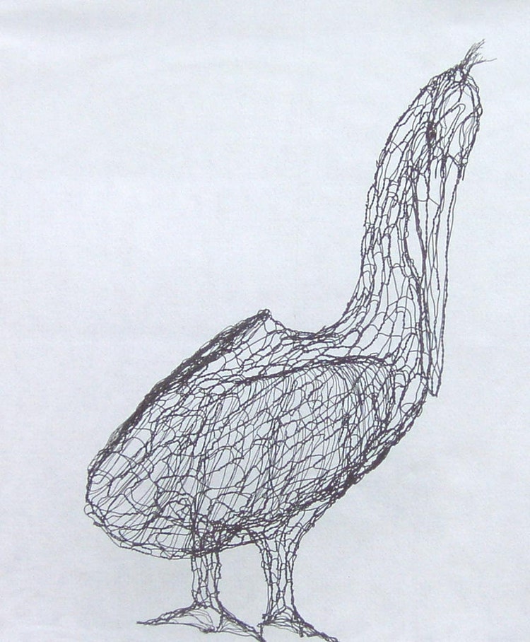 Brown Pelican 27 3D Wire Sculpture by Elizabeth Berrien by WireZoo