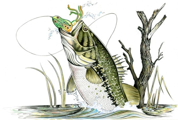 Largemouth Bass Print Largemouth Bass Art Bass Black Bass