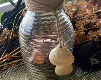 Seashell vase | Etsy