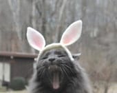 Items similar to Cat Costume - Pet Bunny Ears - Monty Python's Rabbit ...