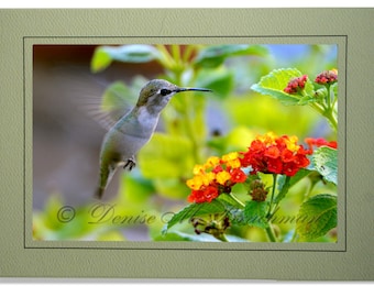 Hummingbird card | Etsy