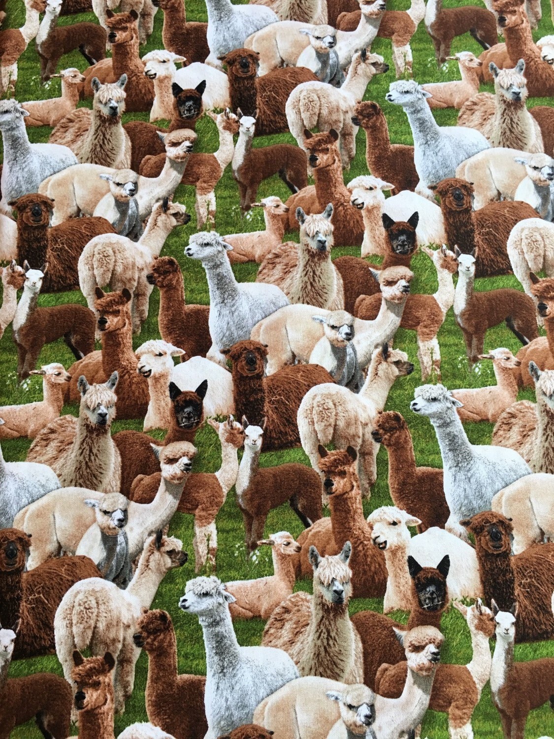 Alpaca Print Cotton Fabric 1 yd Elizabeth's Studio 100%