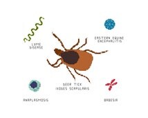 Unique bug cross stitch related items | Etsy