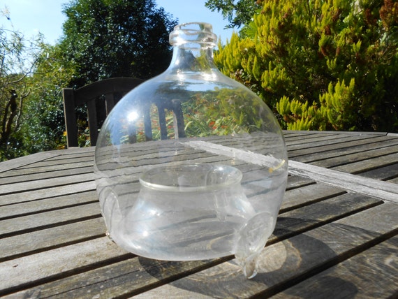 Victorian hand blown glass fly catcher