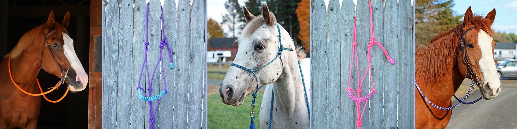 Counter Canter Designs by CounterCanterDesigns on Etsy