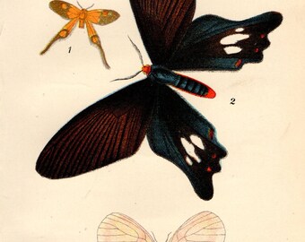 Butterfly engraving | Etsy