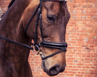 Horse browband | Etsy