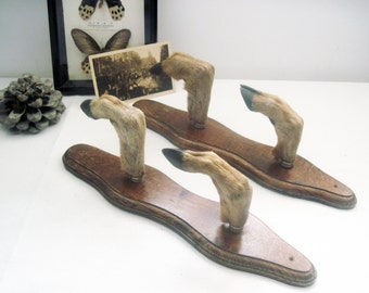 Antler hat rack | Etsy