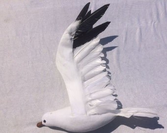 Seagull feather | Etsy