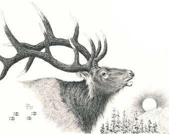 Elk drawing | Etsy