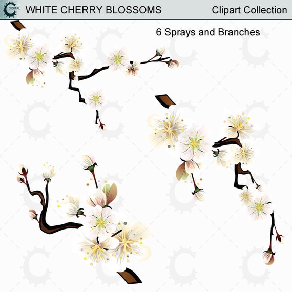 White Sakura/Cherry Blossom Clipart Collection