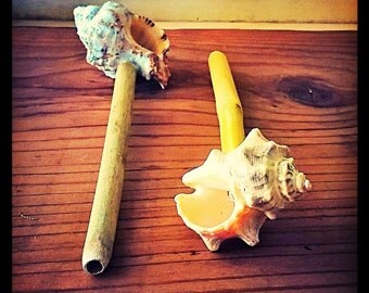 Unique seashell pipe related items | Etsy