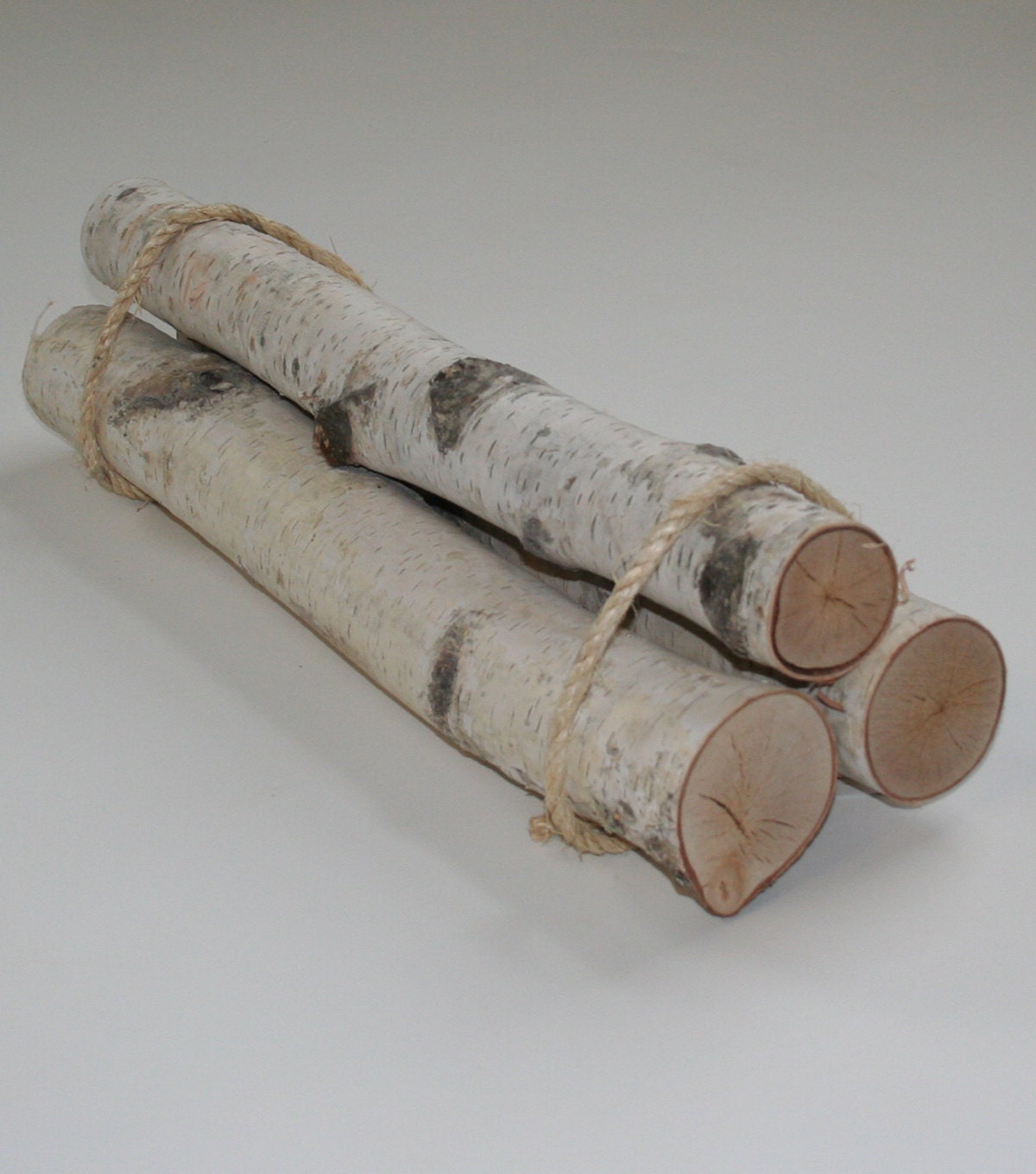 Roped Bundle of Birch Logs: 1.5 2.5 diameter x