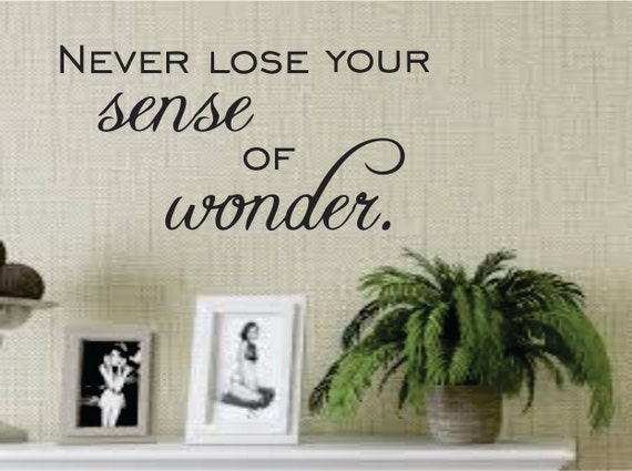 Quote never lose your sense of wonder Decal Sticker Vinyl Wall