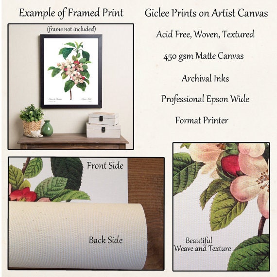 French Botanical Collage Print Set No. 2 by BelleMaisonArt on Etsy