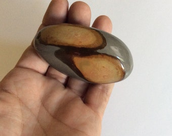 Unique madagascar palm related items | Etsy