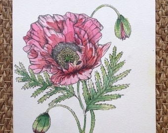 Poppy drawing | Etsy