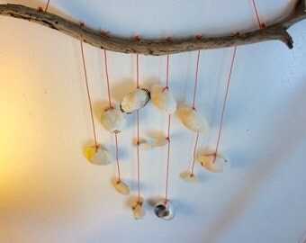 Sea shell wind chime | Etsy