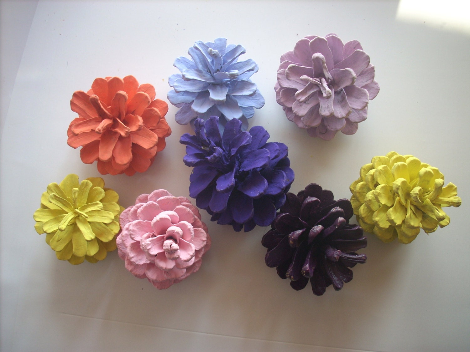 Hand Painted Pine Cones